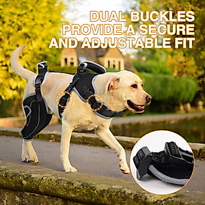 Dog ACL Knee Brace for Torn ACL Leg,ACL Brace for Dogs Rear Legs,Dog Back Leg Support Brace,Dog ACL Brace Hind Leg,Dog Leg Brace, Dog CCL Brace,Braces for Dogs Hind Legs Balance(L)