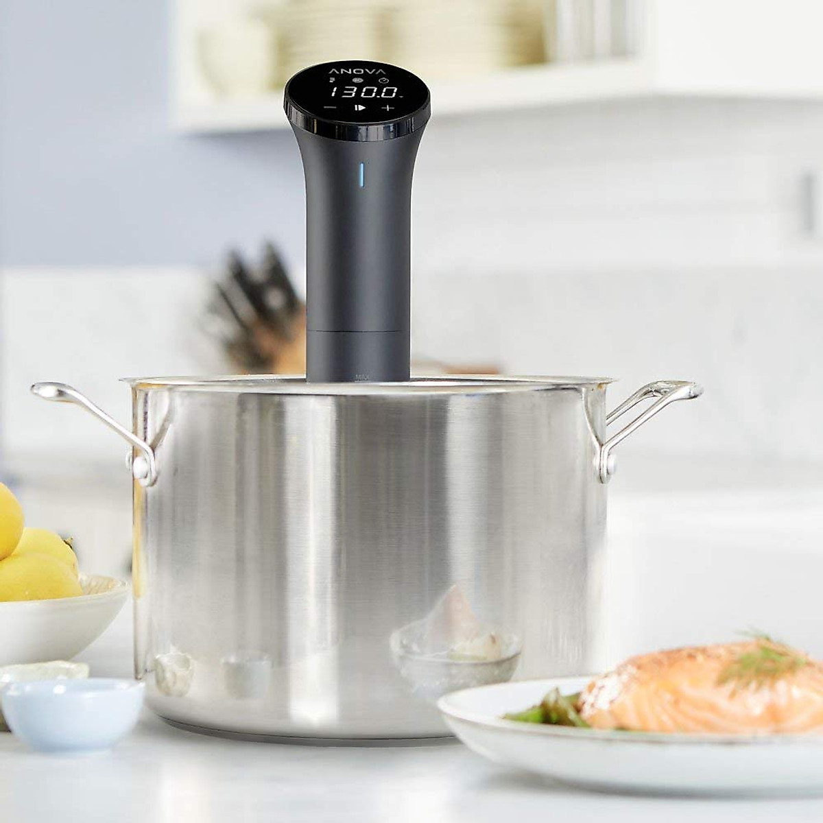 Anova Culinary Sous Vide Precision Cooker Nano | Bluetooth | 750W | Anova App Included (Renewed)