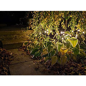 Solrise- 10 LED Solar Outdoor Lights, Outdoor Christmas Decoration Yard, 2 Pack Outdoor Solar Lights, Solar Christmas Decorations, Outdoor Lights, Garden Decor, Outdoor Lights for Patio