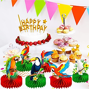 Parrot Honeycomb Centerpieces 11Pcs Tropical Bird Party Table Centerpieces Birds Party Supplies Hawaiian Luau Party Decoration for Rainforest Birds Baby Shower Party Supplies