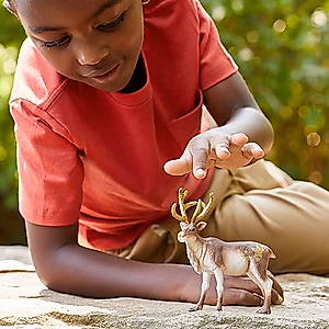 Schleich Wild Life, Animal Figurine, Animal Toys for Boys and Girls 3-8 Years Old, Reindeer, Ages 3+