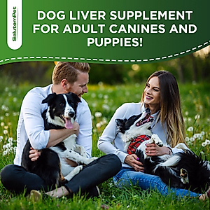 Milk Thistle for Dogs | Dog Liver Supplement | Milk Thistle Supplement for Dogs | Liver Support for Dogs | Liquid Milk Thistle for Dogs | Dog Supplements for Liver | Natural Product | 2 Pack х 2 Oz