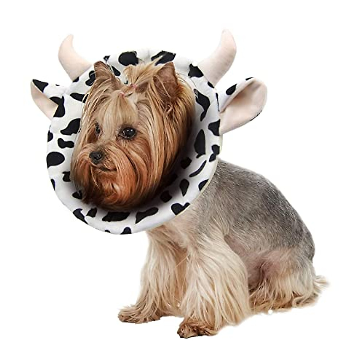 DOITOOL 3pcs Cat Collar Bite Pet Cone Pet Collar Wound Healing Cone Pet Elizabeth Collar Pet Protection Collar Pet Elizabethan Circle Collar for Puppy Pp Cotton White Cat Litter Small