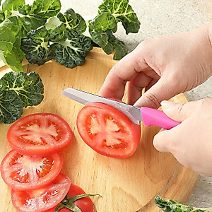 JJOO Paring Knives, Stainless Steel Paring Knife Set with Cover, 3.6 inch Pairing knife, Ultra-Sharp Small Kitchen Knife, Great for Fruit and Vegetable, Dishwasher Safe (Multi Colors)