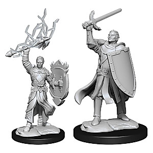 D&D Nolzur's Marvelous Miniatures: Half-Elf Paladin Male