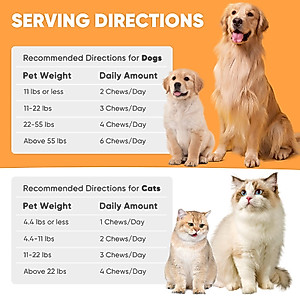 Probiotics for Dogs: Advanced Dog Probiotics & Digestive Enzymes, Digestion & Health Supplement, Support Gut Health, Itchy Skin, Immunity,Yeast Balance, Prebiotics Fiber Supplement Reduce Diarrhea,Gas