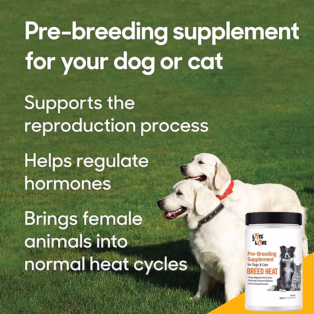 Breed Heat - Breeding & Reproductive Supplement for Dogs & Cats (Formerly Thomas Labs, Same Product) - 16 oz Powder