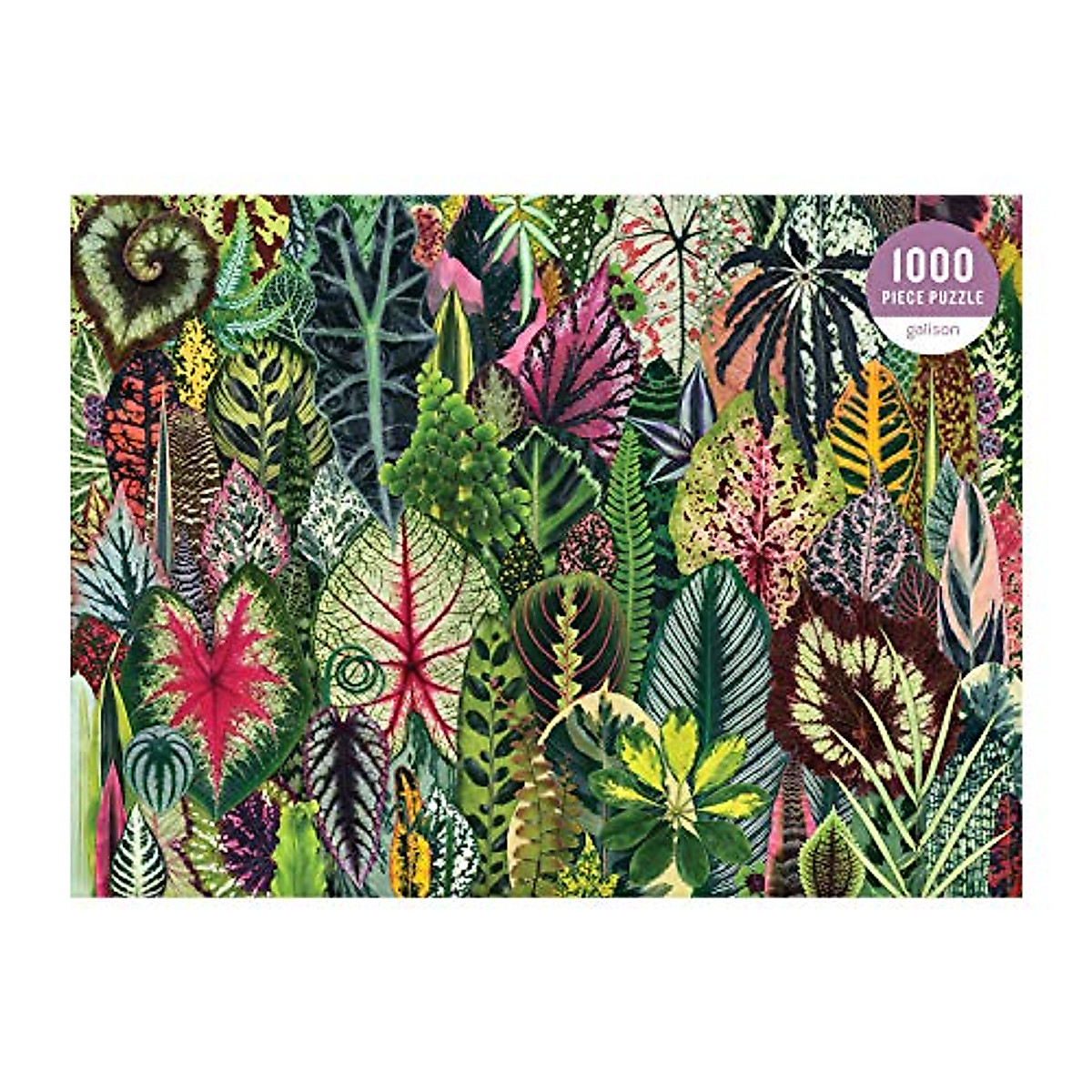 Galison Houseplant Jungle 1000 Piece Jigsaw Puzzle for Adults – Plant Jigsaw Puzzle with Mix of Succulents & Other Household Plants – Fun Indoor Activity, Multicolor