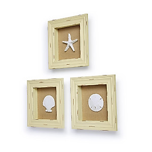 Beachy Set of 3 Shell Shabby Chic Shadow Boxes- Creamy Off White Frame 7" x 7" - Starfish, Sand Dollar and Clam Shell Mounted on Fabric Background by Tumbler Home