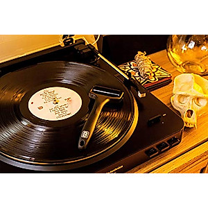 Big Fudge Record Pal, Vinyl Roller Cleaner. Black Vinyl Record Cleaner in Gift Pack. Silicone Lint Roller for LP Records, Anti-Static Record Duster.