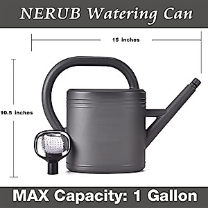 Watering Can 1 Gallon for Indoor Plants, Garden Watering Cans Outdoor Plant House Flower, Gallon Watering Can Large Long Spout with Sprinkler Head (Grey)