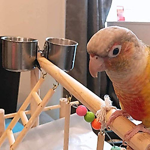 TBWHL Parrot Feeding Cups Hanging Pet Animal Stainless Steel Birdcage Bowls Bird Bowls for Cage Parakeet Bird Cage Accessories Suitable Small and Medium Bird S