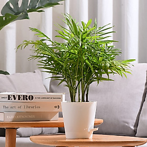 Qaobo Plant Pots 6 PCS 5 inch Self Watering Planters High Drainage Flowers Pot for Indoor Outdoor Plants with Reservoir Tray and Watering Lip Gardening Planter Garden Flower Pots, White