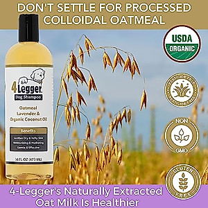 4Legger Organic Dog Shampoo USDA Certified Organic, All Natural Hypoallergenic Dog Shampoo with Oatmeal, Lavender, and Coconut Oil - Organic Oatmeal Shampoo for Dogs - Dog Shampoo for Itchy Skin 16 oz