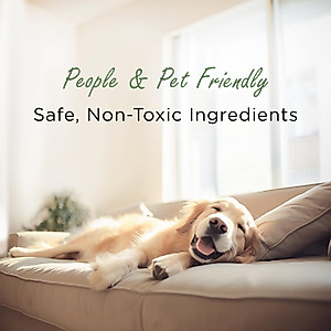 Moso Natural Air Purifying Bag 200g (7.05oz) 3 Pack. A Scent Free Odor Eliminator for Cars, Closets, Bathrooms, Pet Areas. Premium Moso Bamboo Charcoal Odor Absorber. Two Year Lifespan (Charcoal Grey)