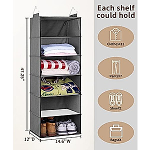 SLEEPING LAMB Short Hanging Shoe Organizer for Closet and 6 Shelves Jumbo Hanging Closet Organizer and Storage