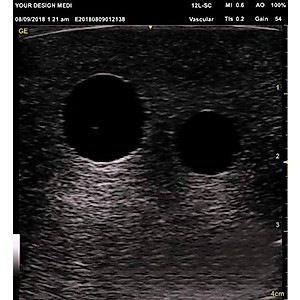 Ultrasound Central Line Training Model - CVL Phantom for Practice