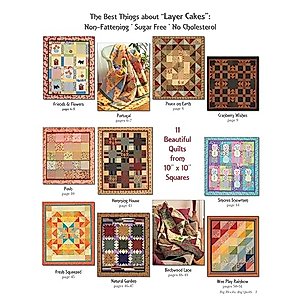 Big Blocks, Big Quilts: 11 Easy Quilts with Layer Cake 10" x 10" Squares (Design Originals) Beginner-Friendly, Easy-to-Follow Instructions and Variations, plus Assembly Diagrams and Color Photos