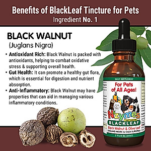 BlackLeaf Tincture for Pets