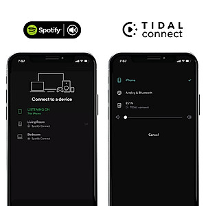 Wiim Mini Airplay 2 Music Streamer, WiFi & Bluetooth Multiroom/Multizone Audio Receiver Within Spotify/Tidal Connect & 192khz/24bit Hi-Res Audio, Works with Siri & Alexa Voice Assistant.