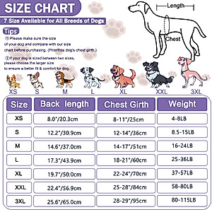 Uadonile Dog Surgery Recovery Suit, Surgical Recovery Suit for Dog Male Female, Spay Neuter Dog Recovery Suit, Cone Alternative Dog Surgical Onesie Purple, Medium