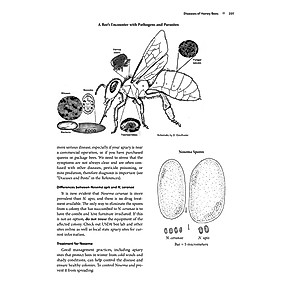 The Beekeeper's Handbook