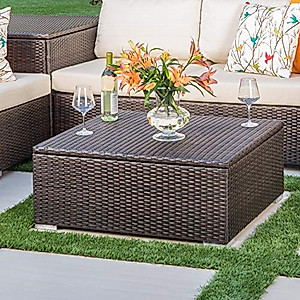 Christopher Knight Home Santa Rosa Outdoor Wicker Coffee Table with Storage, Multibrown