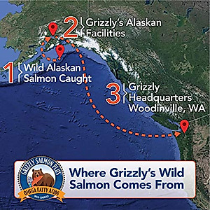 Grizzly Wild Alaskan Salmon Oil Dog Food Supplement Omega 3 Fatty Acids, 32 oz