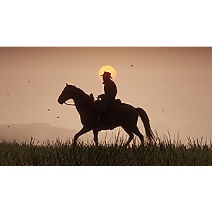 Red Dead Redemption 2 Special Edition