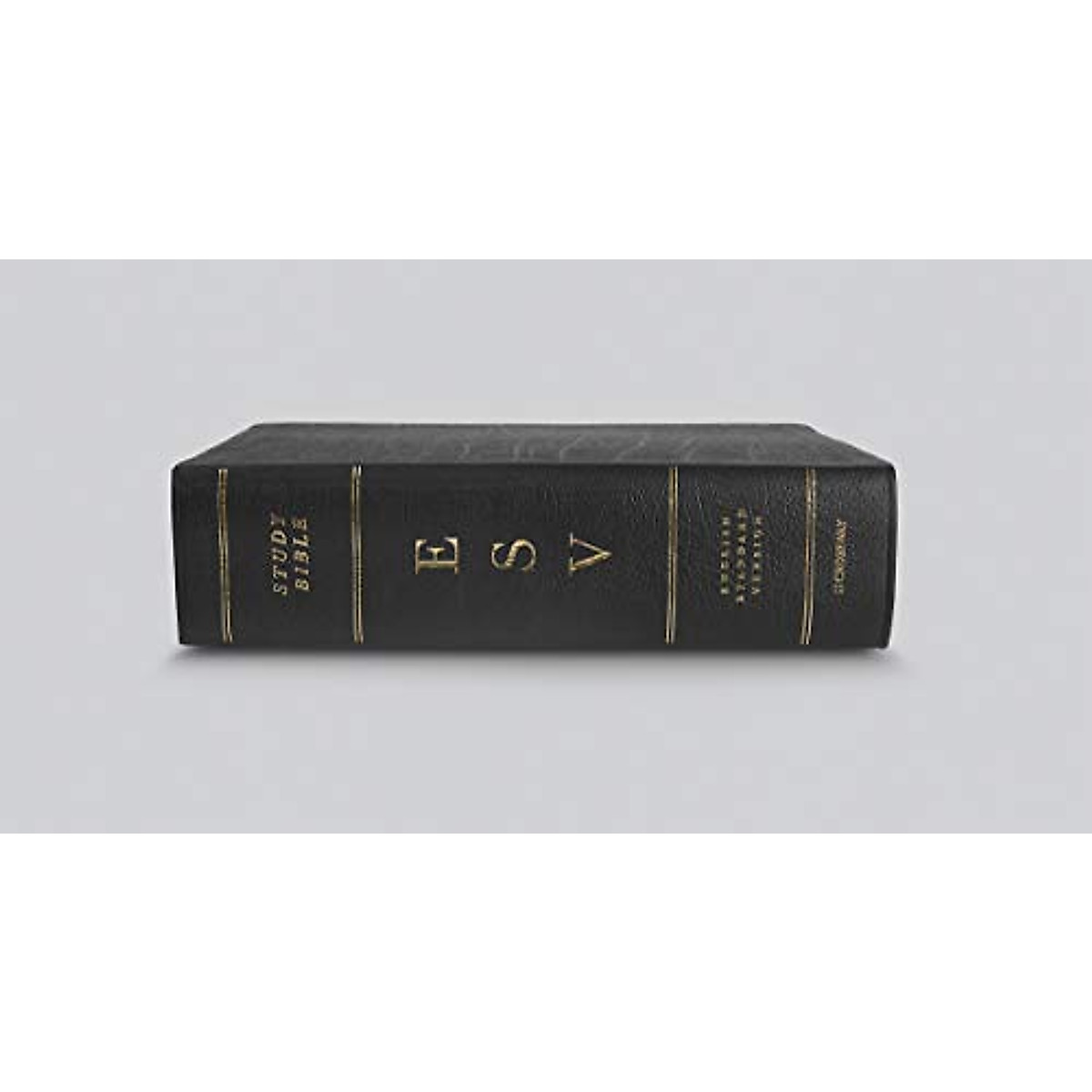 ESV Study Bible, Large Print (Genuine Leather, Black)