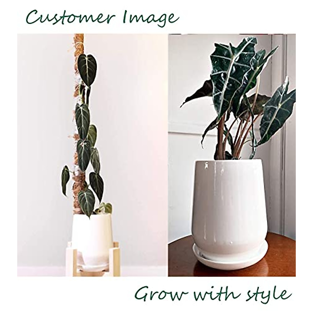 POTEY White Planter Pots for Plants Indoor - 5.3 Inch Glazed Ceramic Plant Pot with Drainage Hole & Saucer for Plants Home Decor 050301, Plants NOT Included