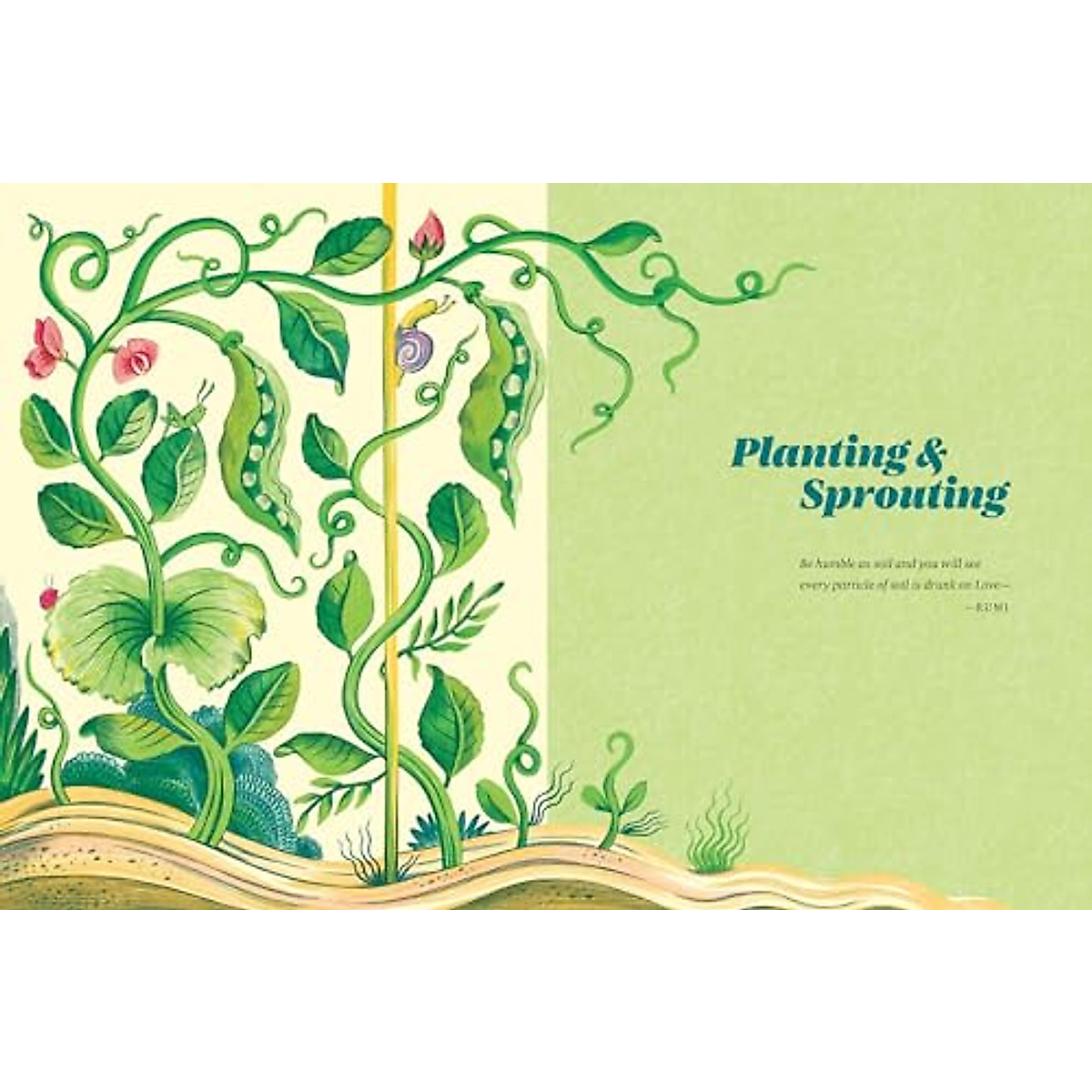 Leaning toward Light: Poems for Gardens & the Hands That Tend Them