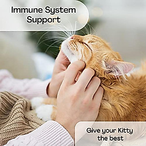 Friskies Dry Cat Food Seafood Sensations Bundle | Includes 2 Bags of Friskies Dry Cat Food Salmon, Tuna, and Shrimp Flavors (3.15 LB) | Plus Paw Food Scoop!