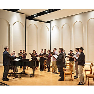 Music Conductor Batons,Imitation Agate Handle Orchestra Conducting Baton Music Batons (Green)