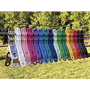 Henry Berry & Dairy Extreme Clothespins | Solid 304 Stainless Steel | 20 Pack | Heavy Duty | Anti-Rust | Laundry Pins | Clothes Pins | Chip Clips | Lifetime Product | No Plastic | Made in Italy