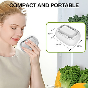 Mini Fridge Deodorizer, 2 Modes Refrigerator Odor Eliminator, Portable Rechargeable Deodorizer Reusable, Antifreeze Design Ozone Sterilizer for Fridge, Wardrobe, Cabinet, Car