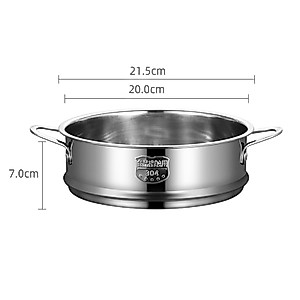 BinaryABC Stainless Steel Steamer Dumpling Steamer Food Steamer Basket Veggie Steamer Basket Rice Noodle Roll Steamer Insert Pot,20cm