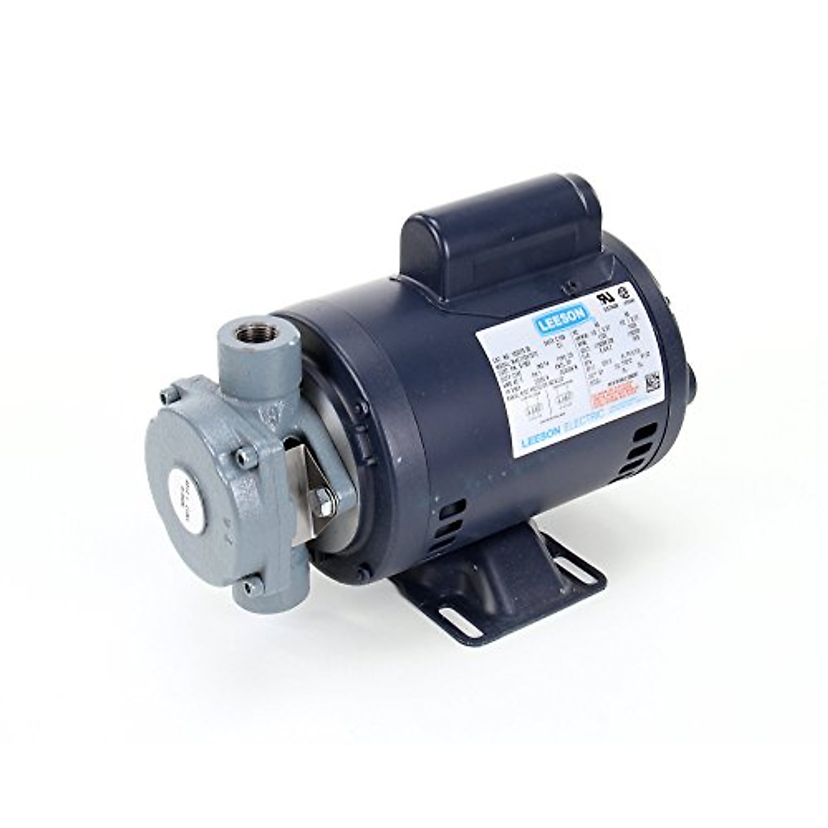 Henny Penny 67589 1/2 HP Motor and Filter Pump Assembly