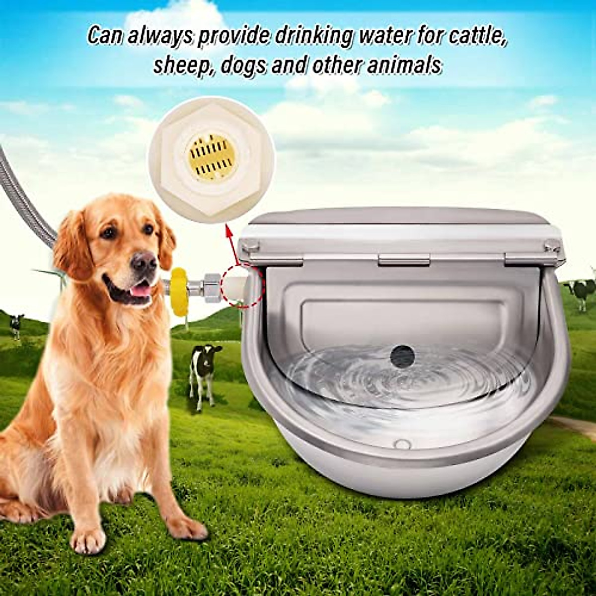 ZHEQOGZH Automatic Dog Water Dispenser Water Trough for Livestock Pig Chicken Waterer Stainless Steel Automatic Waterer Bowl with Float Valve Drain Plug Braided Hose Garden Hose Quick Connect Fittings