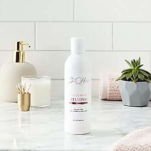 Silk Hair by Andrea D. Soft & Shine Shampoo For Women, Men, And All Hair Types, Boost Protection From Damaged Hair And Improves Shine And Softness, Sulfate Free 8OZ