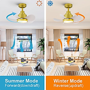 Ceiling Fan With Lights and Remote,Large Airflow 22inch Quiet Reversible Noiseless DC Motor 5 Blades Ceiling Fans for Indoor Bedroom Living Room Room Patio(White Gold)