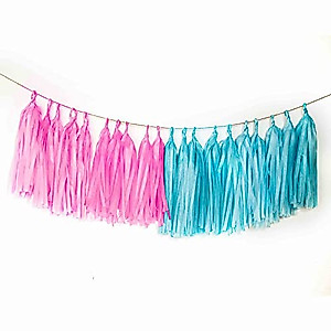 AimtoHome Tassel Garland Tissue Paper Tassel Banner, Tassels Party Decorations Supplies for Gender Reveal Party,Wedding,Birthday,Bridal/Baby Shower,DIY Kits,Pack of 20 - (Pink and Blue)