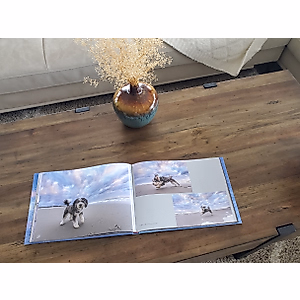 BEACH DOGS: A Coffee Table Photography Book of Joy for Dog Lovers