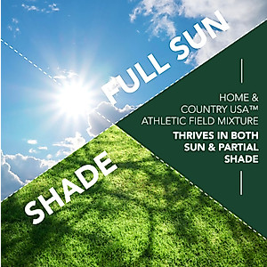 Athletic Field Grass Seed Lawn Seed (50 lb)