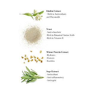 Leonor Greyl Balancing Shampoo for Oily Hair | Bain TS Organic Purifying & Nourishing Shampoo for Oily Scalp Dry Ends | Oily Hair Shampoo for Cleansing Scalp and Moisturizing Dry Ends | 7 fl oz