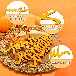 Yookeer 12 Pieces Thanksgiving Wood Cutouts Cards Fall Plate Decorations Thanksgiving Place Setting Thankful Grateful Blessed Family Joyful Wood Table Sign for Thanksgiving Dinner Decorations