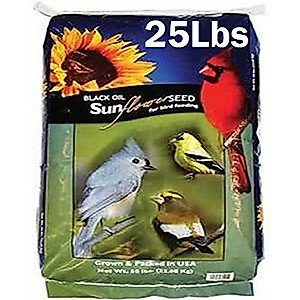 EasyGoProducts 25 Pound Black Oil Seed Bird Food, Brown (Blackseed-25)
