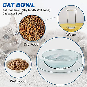 12oz 2 in 1 Cat Water Bowl Dog Water Bowl - Cat Food Bowl & Whisker Fatigue Cat Bowl Plate for Indoor Outdoor, Detachable Wobble Dog Interactive Cat Bowls, Pet Travel Bowls Blue