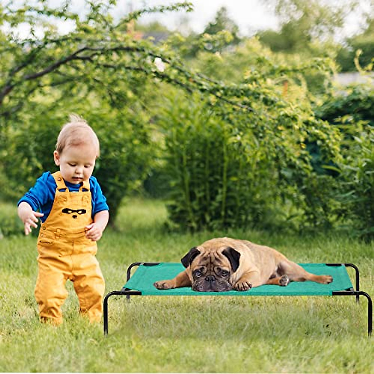 Elevated Dog Bed Cooling Dog Cat Cot Indoor Outdoor Waterproof Pet Bed Portable Raised Pet Cot for Small Medium Dogs Cats, Green