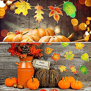 60 Pieces Fall Leaves Accents Cutouts Autumn Thanksgiving Leaf Accents Cutouts Maple Oak Ash Elm Leaf Cutout with Glue Point Dots for Fall Classroom Bulletin Boards Wall Tree Decor (Classic Style)